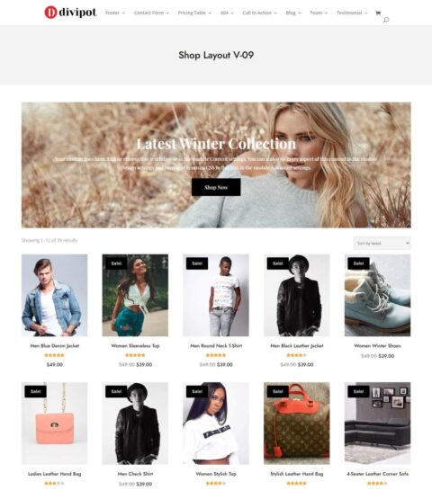 Divi WooCommerce Layout Pack | Divipot